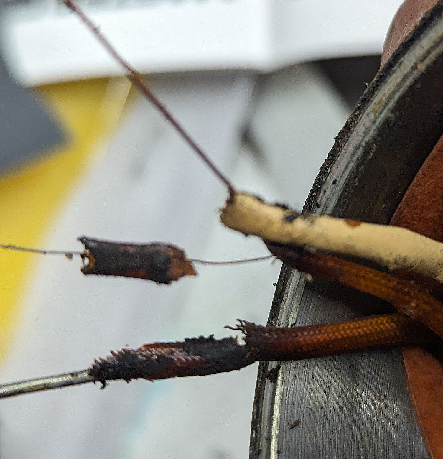 Cleaning up Wiper Wiring – CHASING CiTROëNS